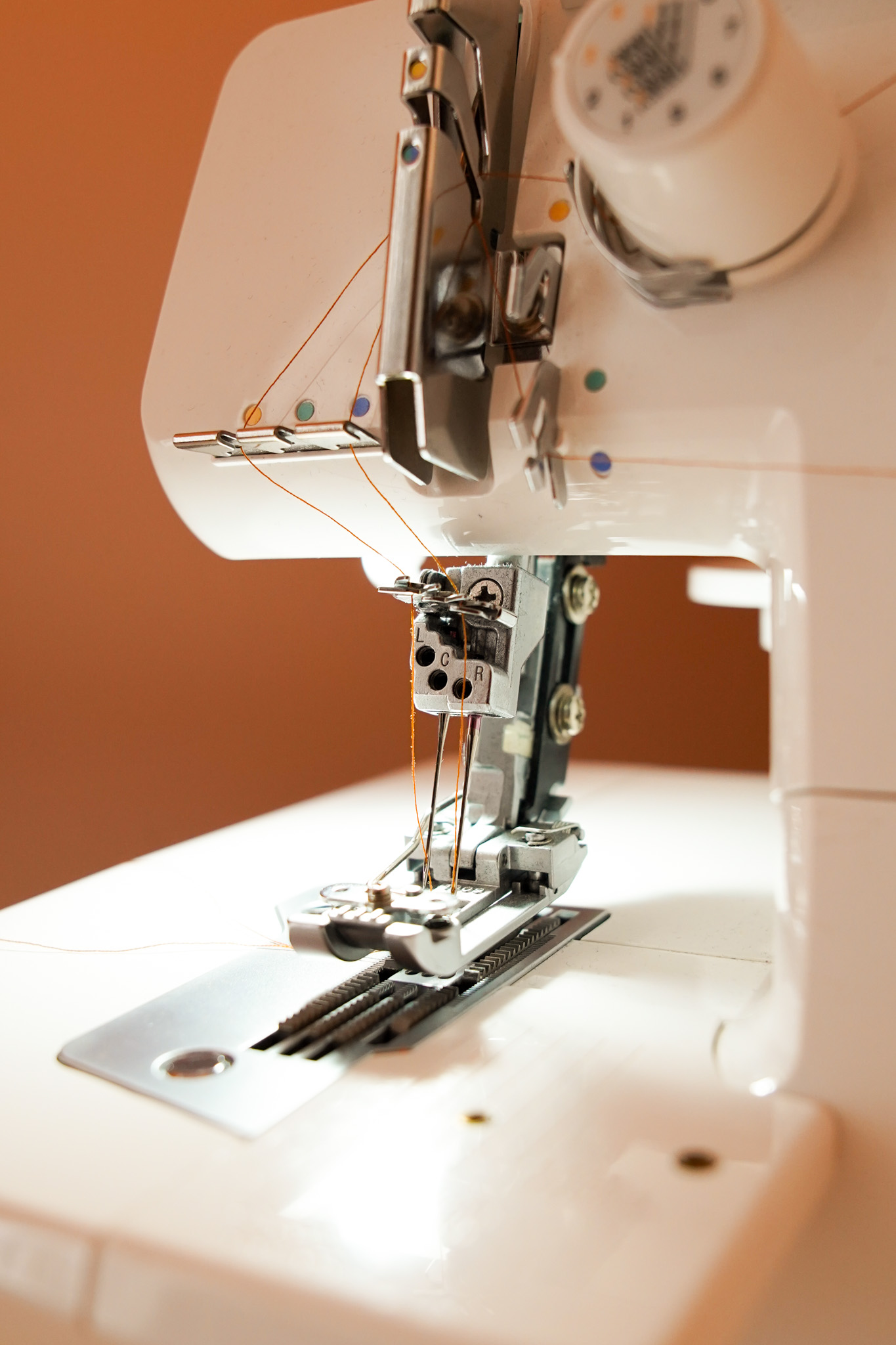 Accelerate Action: Why Fashion Needs to Step Up this IWD (and How We ...